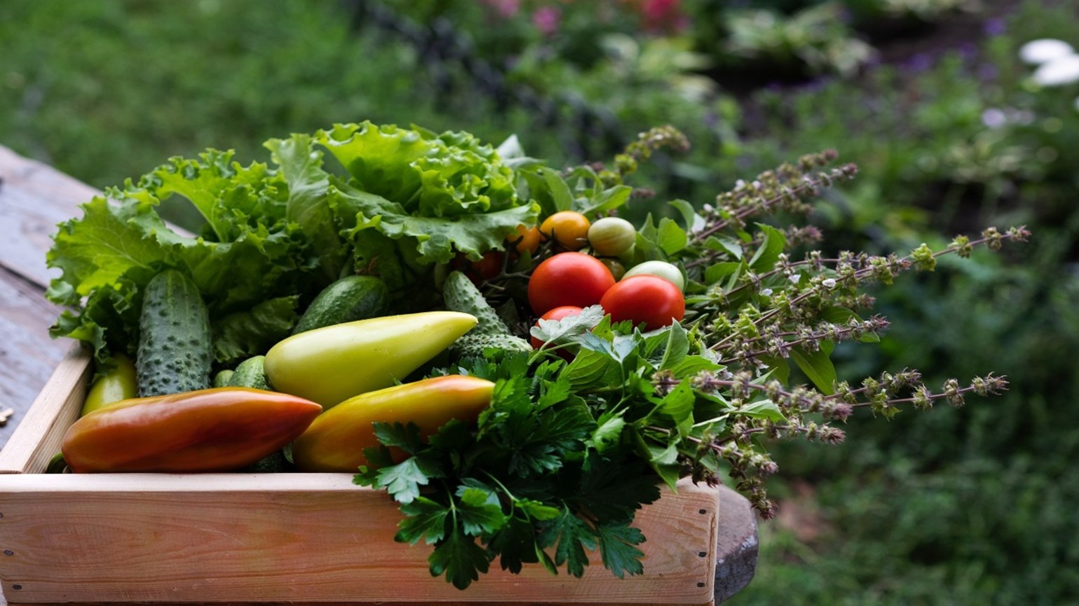 Află ce informații detaliate au fost oferite în seminar