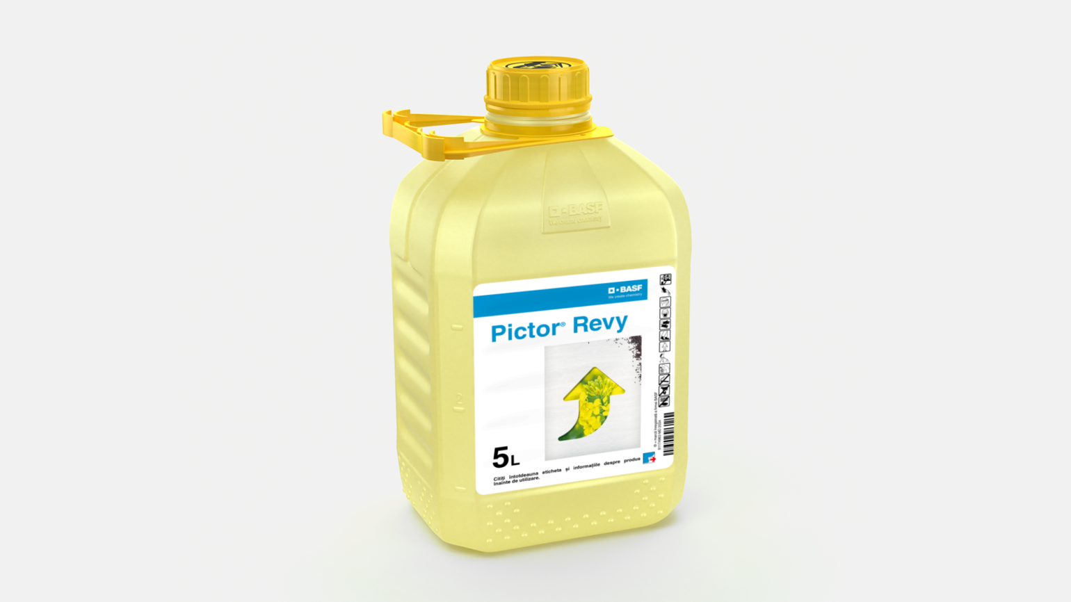 Pictor Revy - succesul tău la un nou nivel